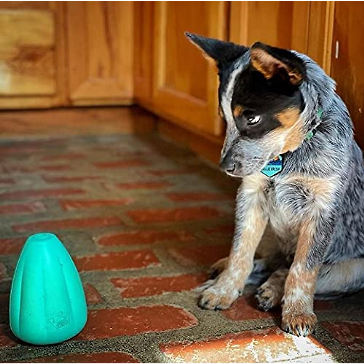 Chew King Premium Treat Dog Toy, XL, Extremely Durable Natural Rubber Toy, Pack of 2, All Breed Sizes