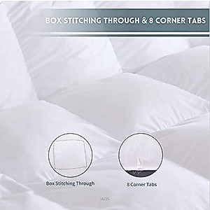 ELCHERTHE White Goose Feathers Down Comforter All Season Down Feather Duvet Insert Queen Size Down Quilt, 100% Cotton Fabric with 8 Corner Tabs 700+ Fill Power (90x90 inches)