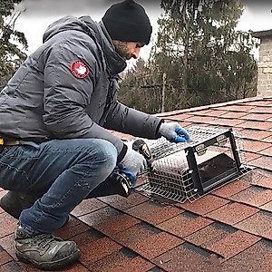 Artowell Raccoon One Way Eviction Door - The Raccoon Trap Contactless Excluder, Raccoon Repellent Perfect for Outdoor Spaces Like Attics, Chimneys & Under Decks. Fast Results, Easy DIY Installation