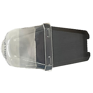 Thai Con Monstera Rare Plant Grow kit