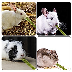 NC Timothy Hay Sticks for Rabbits Guinea Pig Hamsters Chinchilla Bunny Chew Toys for Teeth Treats Accessories