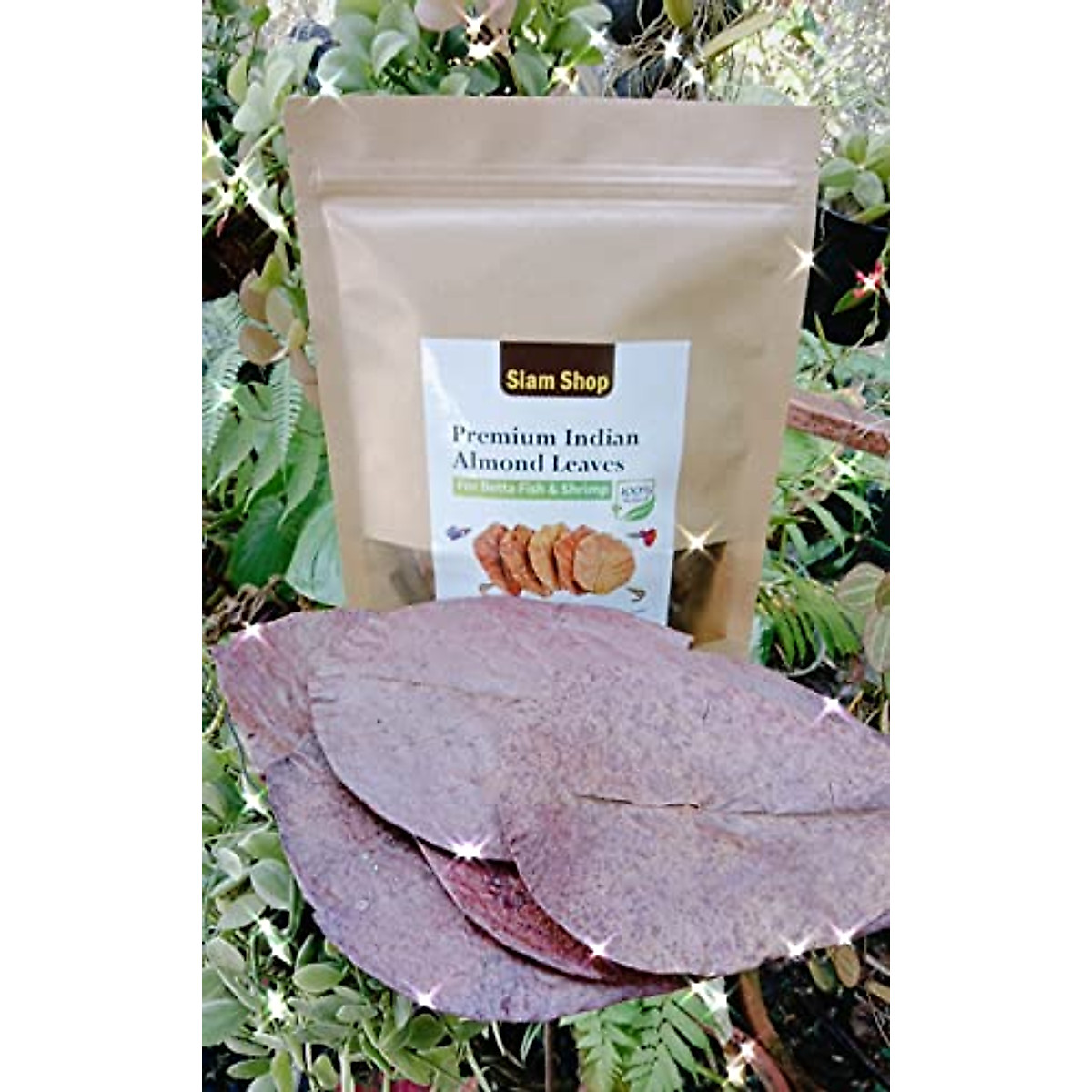 Pufa SIAM Shop Premium Indian Almond Leaves Medium Catappa for Betta Fish & Shrimps|Best Betta Fish / Shrimp Leaves |Indian Catappa Almonds Naturally sourced Almond Leaves Help Boost immunity50 g.