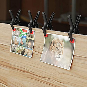 WORKPRO 16-Piece Nylon Spring Clamp Set-4pc 6-1/2", 6pc 4-1/2" , 6pc 3-3/8", for Woodworking, Photography Studios and DIY Works, Black