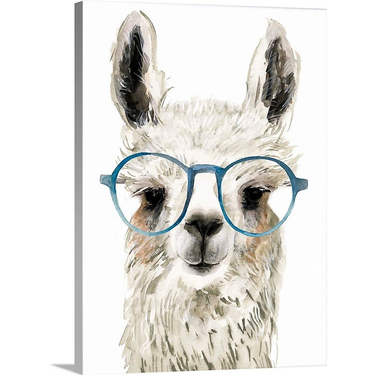 3 Piece Hip Llama Canvas Wall Art Print Set, Animal Home Decor