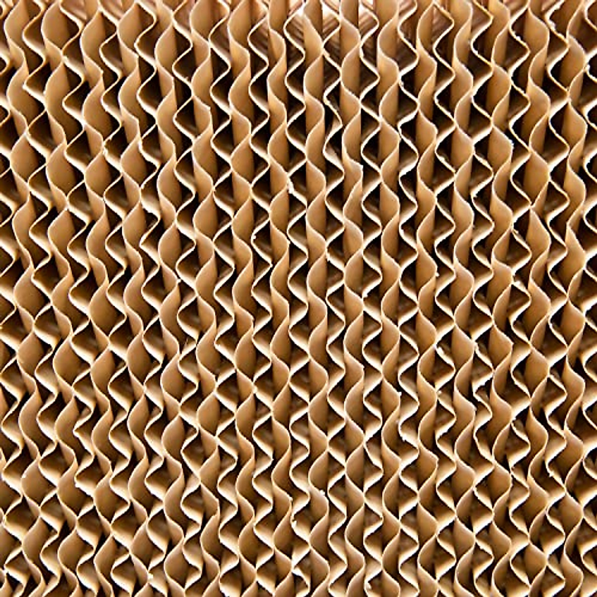 MasterCool 12 inch Rigid Media Pad for 4800 CFM, 110133-3