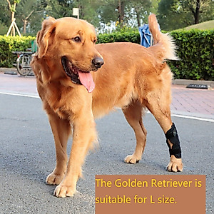Coodeo Powerful Dog Canine Rear Leg Hock Joint Brace with Metal Spring Strips, Strengthen Support Dog Back Leg Compression Wrap, Help Dogs with Injuries, Sprains, Arthritis, Rheumatism Walk (S, Black)