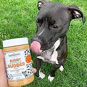 BUDDY BUDDER Bark Bistro Company, Superberry Snoot + Barkin Banana + Pumpkin Pup, 100% Natural Dog Peanut Butter, Healthy Dog Treats - Made in USA (Set of 3 / 17oz)