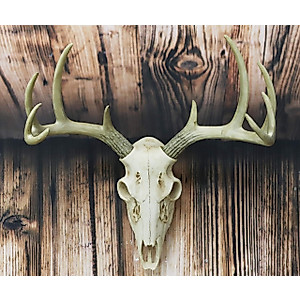 Ebros Gift Rustic Hunter Deer 10 Point Buck Skull Trophy Antlers Wall Mounted Plaque Trophy Decor Figurine 14.25" Long Hunter's Antler Rack Theme Deers Bucks Hunting Skulls Trophies Hanging Sculptures