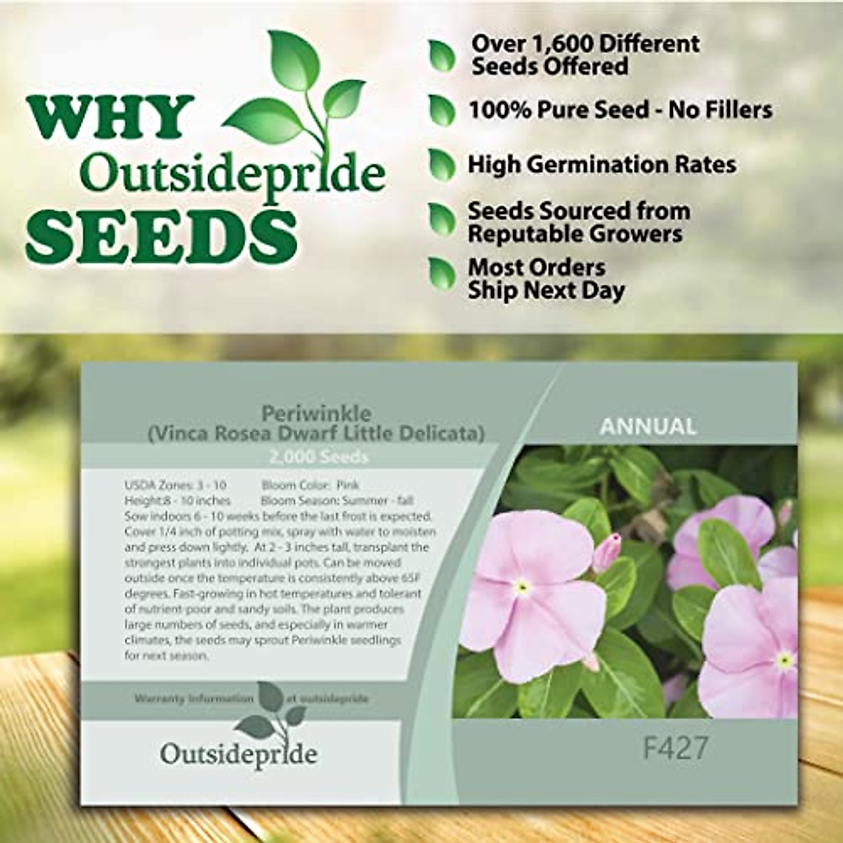 Outsidepride Vinca Periwinkle Pink Garden Flower, Ground Cover, & Container Plants - 4000 Seeds