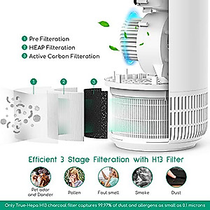 Afloia Air Purifier for Home Large Room H13 True HEPA Filter Air Cleaner with 24db Sleep Mode Remove 99.99% of Dust, Pet Dander, Pollen for Office, Bedroom, Fillo White