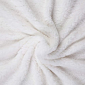 BORITAR Sherpa Throw Blanket Super Soft Warm Ultra Luxurious Fleece Blanket for Baby Children Teen Boys, Unisex or Adult Minky Blanket with Sherpa Plush Backing (50 x 60 Inch, Lovely Brown Fox)