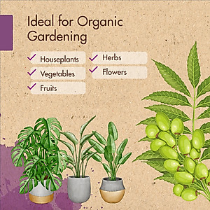 Organic Neem Oil for Plants, Cold Pressed Neem Oil Extract from Neem Plant, Water Soluble Pre-Emulsified Neem Oil Spray for Indoor Plants & Outdoor Plants, Neem Spray for Shiny Plant Leaves, 8 fl. oz.