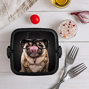 Selinactive Bento Lunch Box with 2 Compartments Leak-Proof Food Containers with Spoon