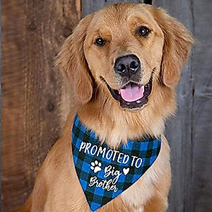 Family Kitchen Promoted to Big Brother Blue Plaid Dog Bandana, Gender Reveal Photo Prop Triangle Pet Scarf Scarves Decorations Accessories, Pet Scarves Dog Lovers Gift
