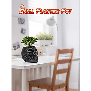 Dashamce Skull Planter Dish Large Flower Pot Container Box Halloween Skull Candy Bowl Desk Decoration