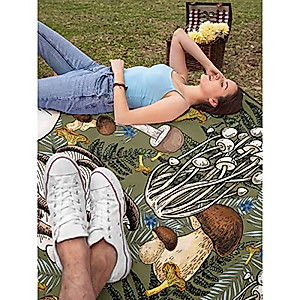 Yaoola Vintage Mushroom Flannel Blanket, All Season Soft Cozy Plush Bed Throw fit Bedroom Living Room Sofa Couch Bedding Office Cinema Farmhouse Beach Yoga Travel 50"x40" for Kid