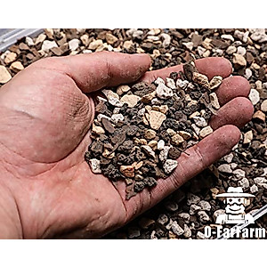 O-FarFarm Bonsai Soil Mix Ready to Use 2 Quart, Fast Draining All Purpose Potting Soil for Bonsai Tree, Ideal for Root Development, Made from Akadama, Lava Rock, Pumice and Pine Barks