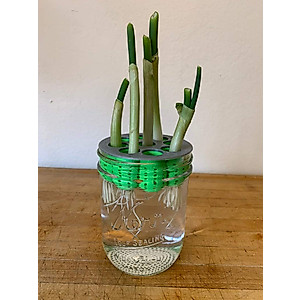 Green Onion Farm