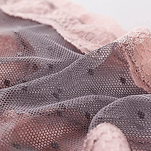 Kinple See Through Mesh Panty for Women Low Waist G-String Pantys Fashion Lace Wavy Edge Panties Trendy Elastic Underwear Gray