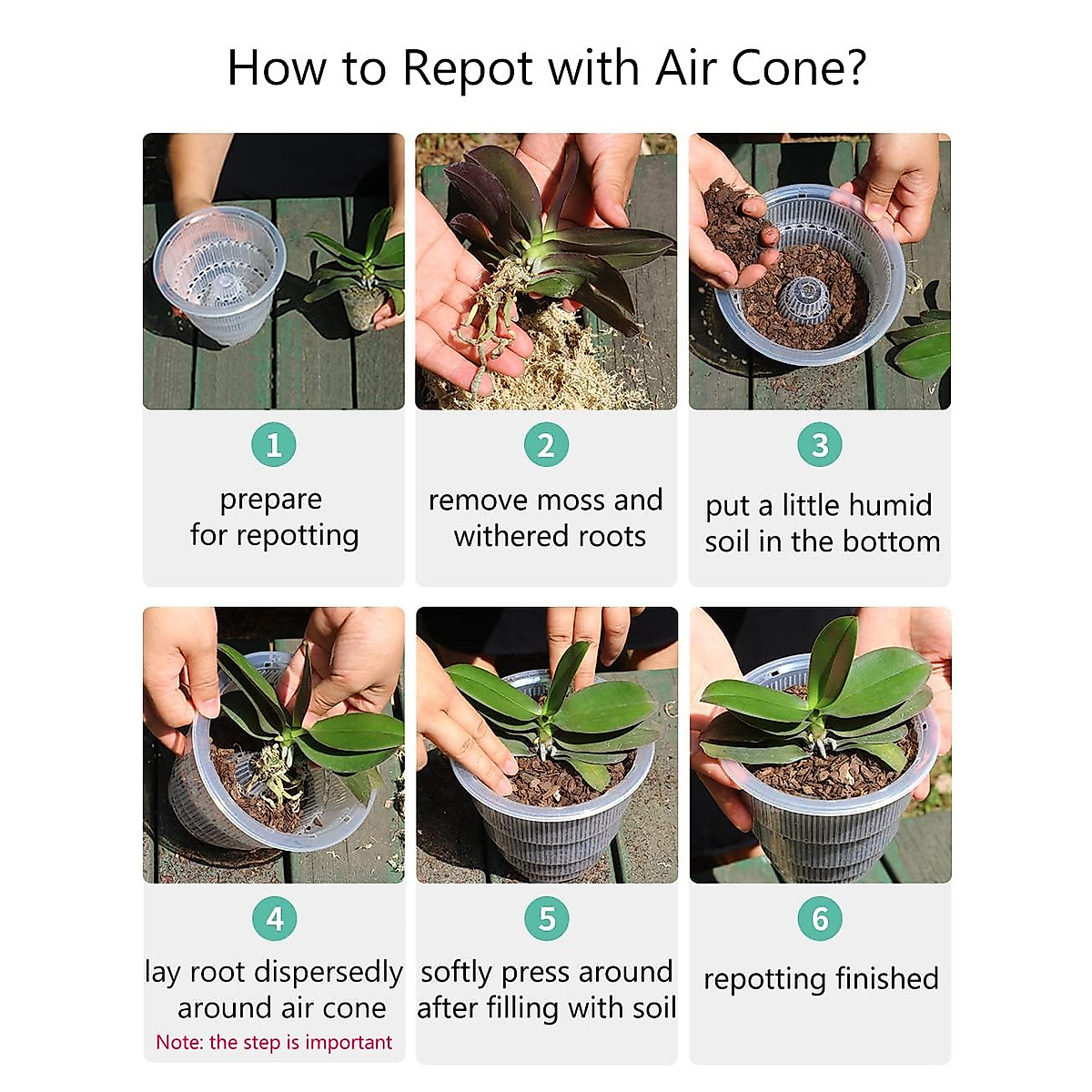 Meshpot 4 inch Clear Plastic Orchid Pots with Holes and Saucers for Repotting,Pack of 4,Small Orchid Planters Own Scientific Controlling Roots Technology to Develop More Strong Roots