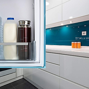 Oranlife Cold Brew Coffee Maker, Portable Iced Coffee and Tea Infuser with Airtight Lid, Reusable Stainless Steel Mesh Filter for Iced Tea/Coffee, 3cup, 26oz