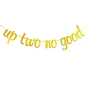 Up Two No Good Banner for 2nd Birthday Anniversary Party Decorations Gold Glitter