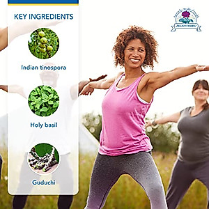 Ayush Herbs Flucomune, All-Natural Ayurvedic Herbal Supplement, Promotes Healthy Lung & Nasal Function, Doctor-Formulated, 90 Vegetarian Capsules