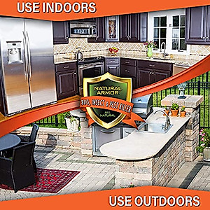 Natural Armor Natural Bug, Insect & Pest Killer & Control Including Fleas, Ticks, Ants, Spiders, Bed Bugs, Dust Mites, Roaches and More for Indoor and Outdoor Use, 128 oz Gallon Refill Case of 4