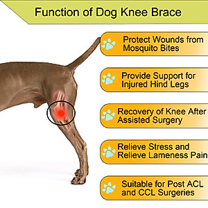 WENQUSEN Dog Leg Support - for Leg Wounds After Surgery for Ligament tears, with Support Strips to Protect The Dog's Leg Wounds. Breathable and Comfortable (L)