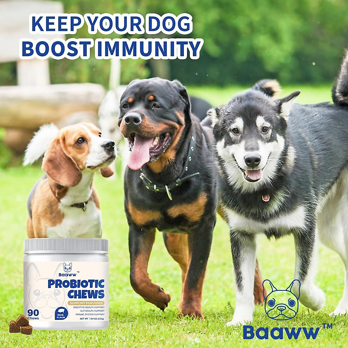 Baaww Probiotics for Dogs, Support Gut Health, Diarrhea, Seasonal Allergies, Paw Licking, Digestive Health Enzymes, 90 Pork Chews Allergy & Immune Supplement for Dogs Anal Gland Soft Chew Treats