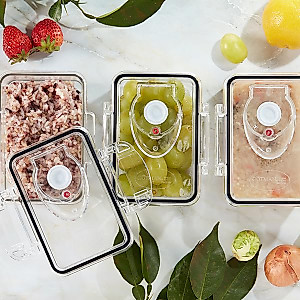 gotman Airtight Food Storage Container Rice pack (15.2 OZ, 1 Containers + 1 Steam Vent Lid)- BPA-Free, Safe Baby Food Container,Microwave & Freezer Safe Food Containers with Lids