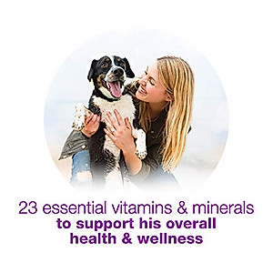 Beneful Purina High Protein Wet Dog Food Variety Pack, Prepared Meals & Chopped Blends - (16) 10 oz. Tubs