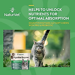 NaturVet – Digestive Enzymes For Cats Plus Probiotics – 60 Soft Chews – Helps Support Diet Change & A Healthy Digestive Tract – Aids in the Absorption of Vitamins & Minerals – 30 Day Supply
