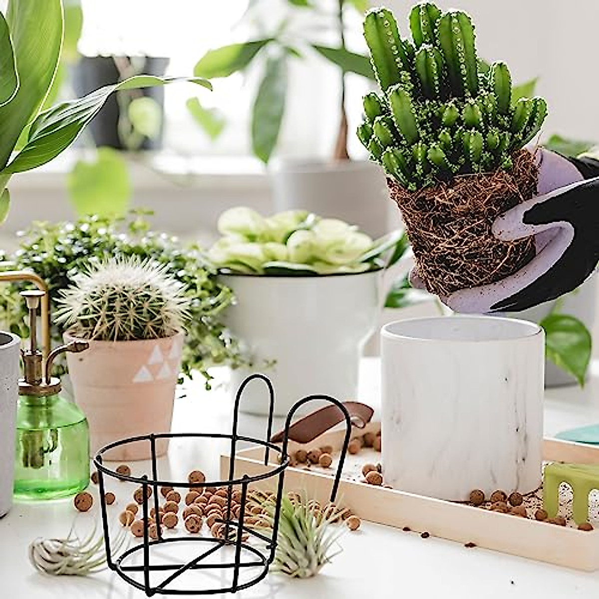 Dandat 24 Pcs Hanging Railing Planters 6 Inch Flower Pot Holders Black Potted Stand Railing Planter Iron Rack Balcony Planter Basket Small Shelf Container for Indoor Outdoor Balcony Fence Garden