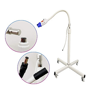 Teeth Whitening Lamp 36W Floor Stand Type Dental Cold Teeth Bleaching Machine for Clinic and Beauty Accelerator Bleaching System with 10pcs LED Blue Light Blue/Red Light 2 Colors(US Shipping)