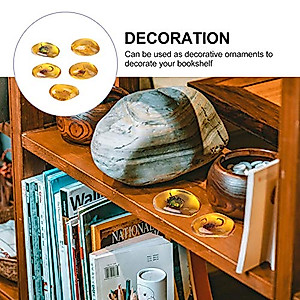 FOMIYES 5pcs Amber Fossil Artificial Amber Samples Stones Crystal Specimens Collection Pendant (Random Pattern)