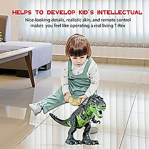WQ Remote Control Dinosaur Toys for Kids 5-7, Electronic Walking Robot Dinosaur, Roar Sounds, Flashing Light, Laying Eggs, Realistic RC Dinosaur T-Rex Toys Birthday Gift for Boys Girls 3+ Years Old