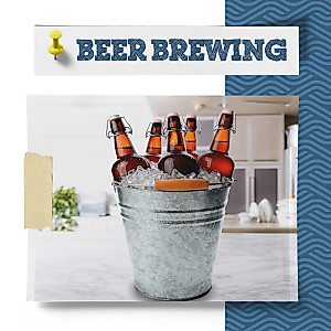 Fermentaholics Hydrometer | Monitor and Test Your Homebrew | Homebrewed Beer, Wine, Mead, Cider, and More | Easily Measure Specific Gravity