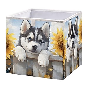 YMGQYJ Cute Husky Collapsible Storage Cube, Foldable Closet Organizers Storage Bins with Support Board for Shelf Closet Cabinet 15.7×10.6×6.9 IN