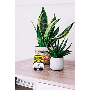 FASHIONCRAFT Gnome Stash Jar - Novelty Stash Jar