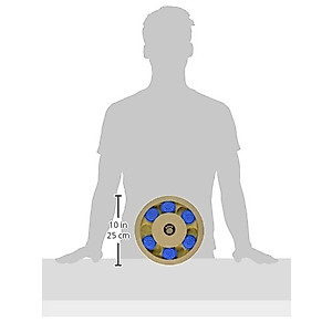 PetRageous 13005 Thinkrageous Interactive Intermediate Level Puzzle Piece Pet Toy Measures 9.84-Inch for Dogs and Cats and Ages, Blue