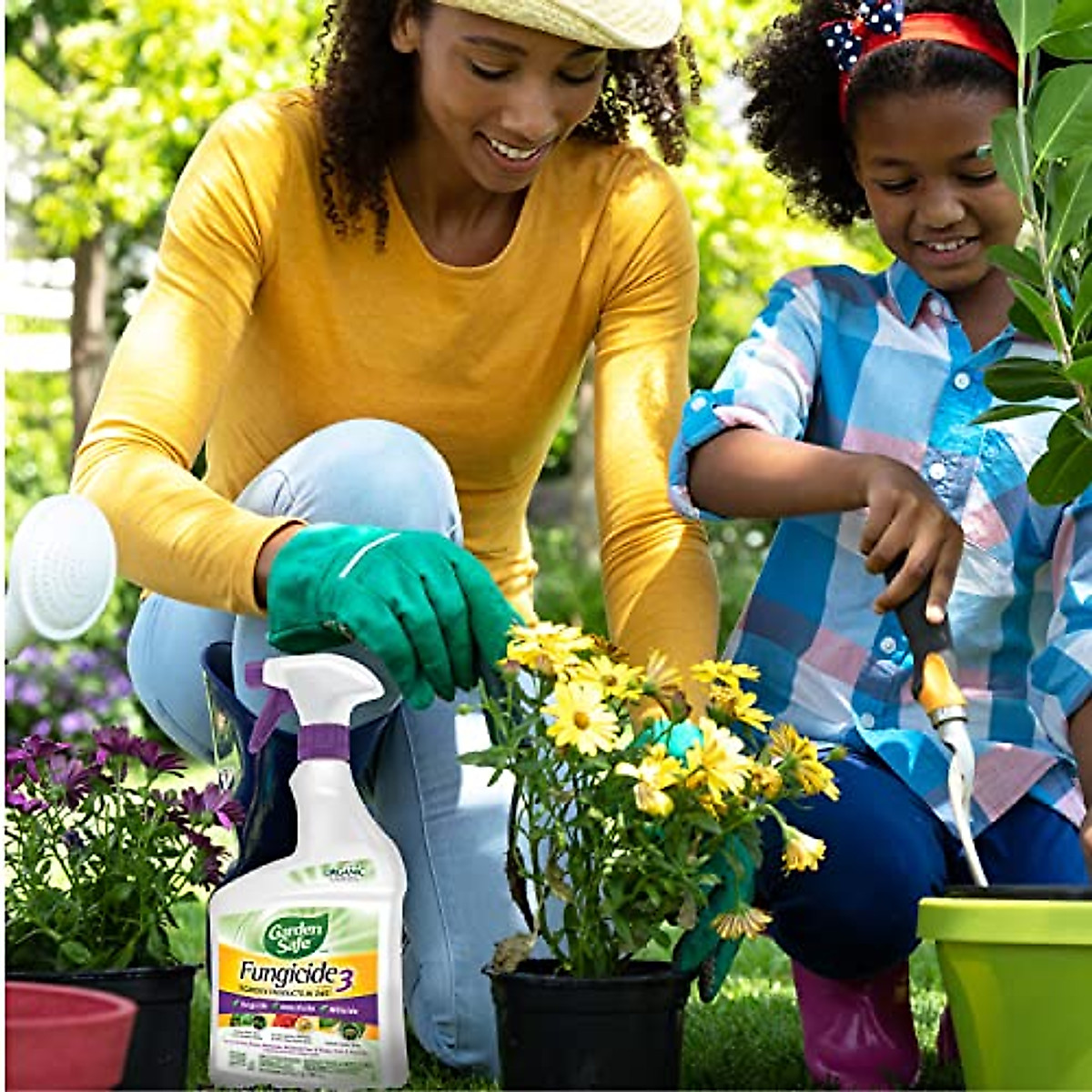 Garden Safe Brand Fungicide3, Ready-to-Use, 24-Ounce, 2 Pack