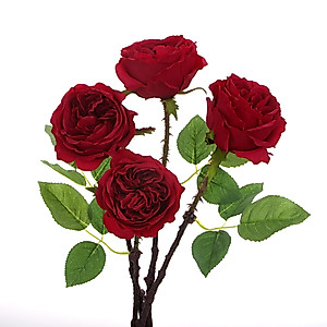 Final Sale-Extra-Realistic & Large Artificial Silk Garden Rose Flowers | Faux Peony Stems | Set of 4 | Red