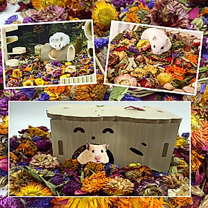 Tfwadmx Hamster Substrate Natural Flower Bedding Mate Habitat Decor for Dwarf Syrian Hamsters Mice Degus Gerbils Bunny or Other Small Animal