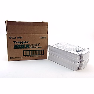 Bell Labs Full CASE of Trapper Max Free Mouse Glue Boards (72 Boards), White (TX2672)