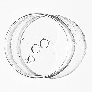 XCD Glass Petri Dishes, 10 Pack Borosilicate Glass Cell Culture Dishes Autoclavable Lab Dishes with Clear Lid for Laboratory Use, 100x20 mm