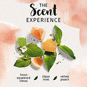 Herbal Essences, Volumizing Conditioner With Natural Source Ingredients, For Fine Hair, Color Safe, BioRenew White Grapefruit & Mosa Mint, 20 fl oz, Twin Pack