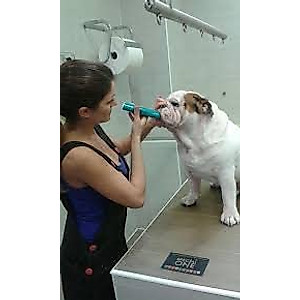 Emmi-pet Ultrasound Bristle-Head Attachments to Clean Pets' Teeth and Gums (Large Head Size, Set of 2)