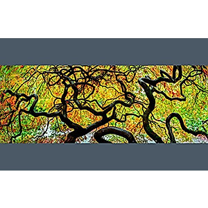 Trees: Between Earth and Heaven