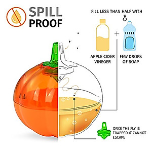 ASPECTEK Fruit Fly Trap Pumpkin Shape, Pack of 2, Orange